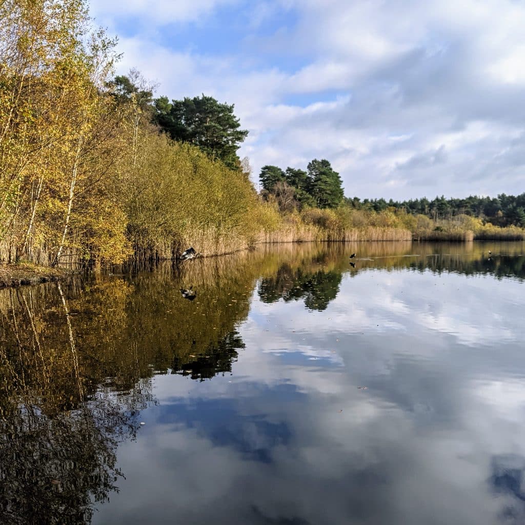 Esher & West End Common, Surrey walking trail