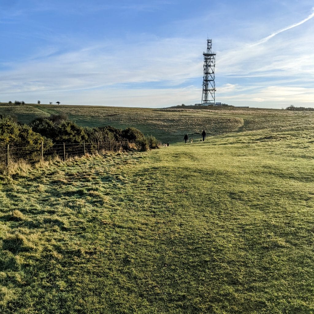 Butser Hill and Queen Elizabeth Country Park route for walking or running